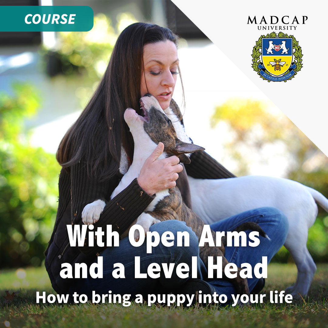 With Open Arms and a Level Head – PUPPY CULTURE