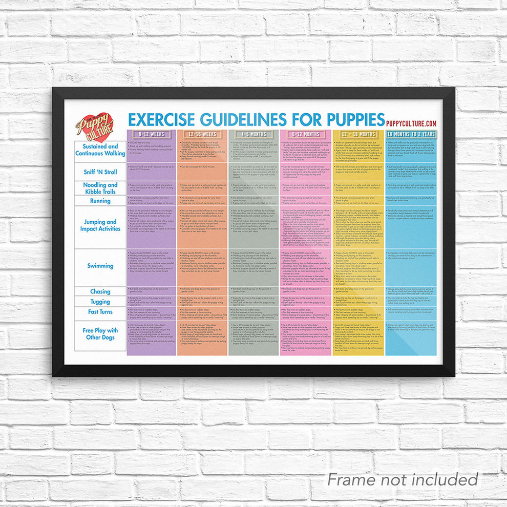 Age Appropriate Exercise Poster – PUPPY CULTURE