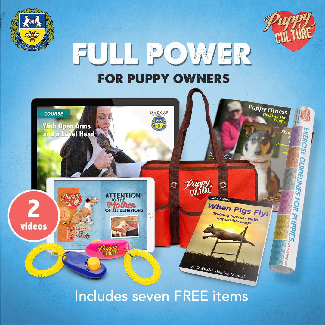 Full Power - For Puppy Owners – PUPPY CULTURE