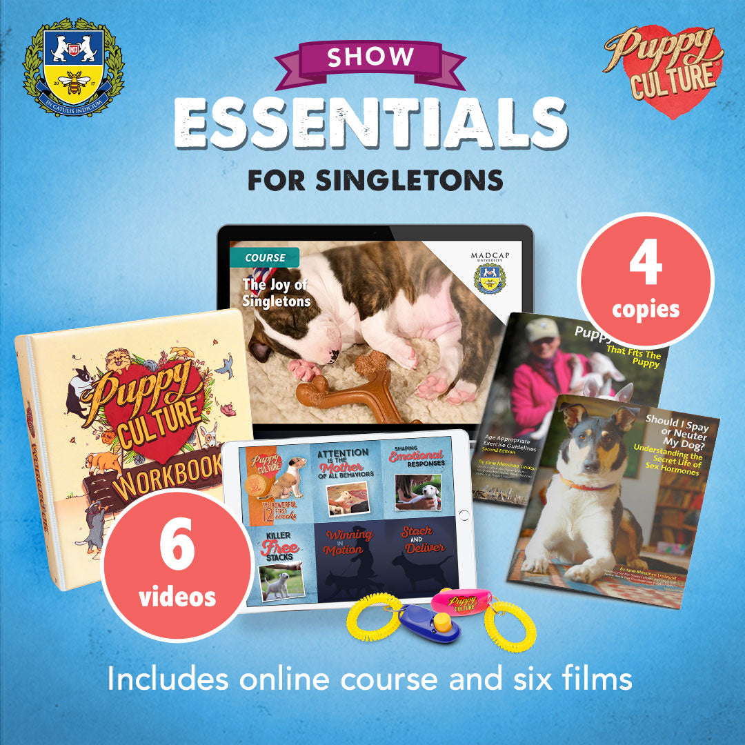 Essentials for Singletons – Show Package – PUPPY CULTURE
