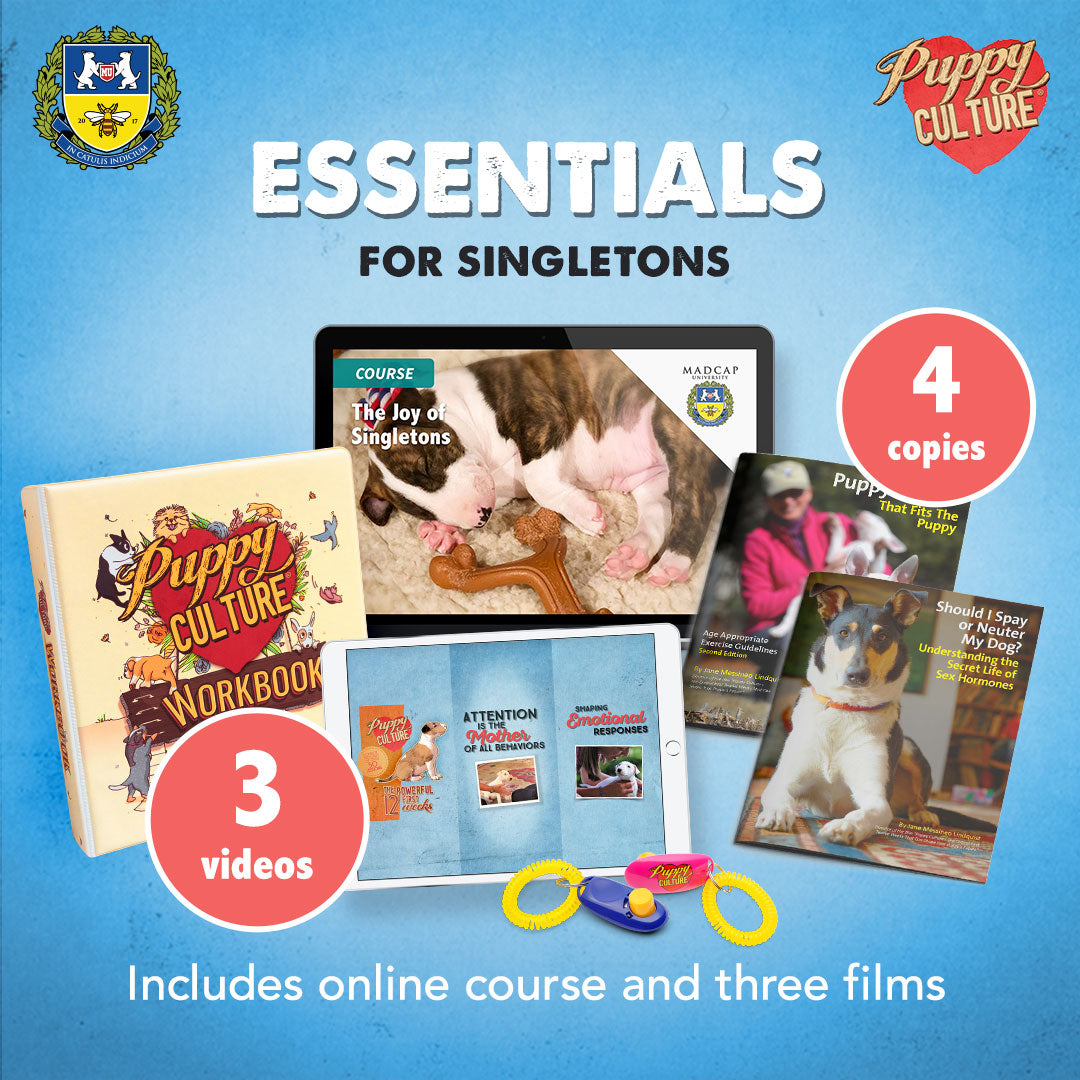 Essentials for Singletons – PUPPY CULTURE