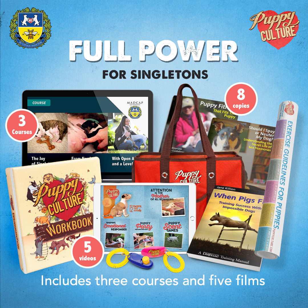 Power Pup Show Power Pup 3 Kickstarter: FAQ Customized Superhero Art