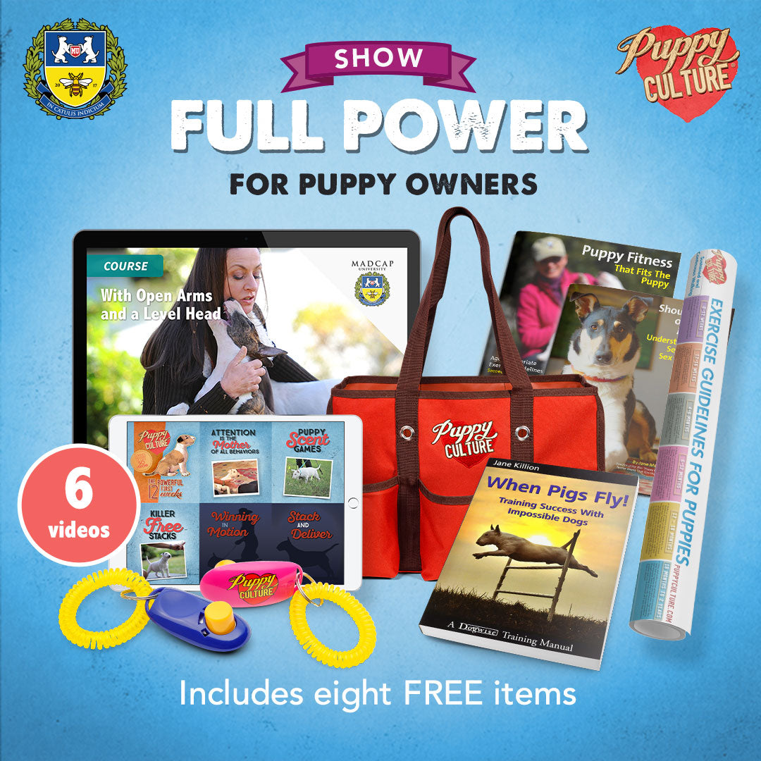 Power Pup Show Power Pup 3 Kickstarter: FAQ Customized Superhero Art