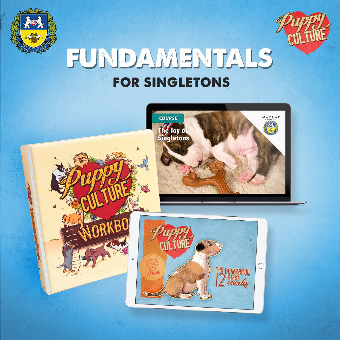 Fundamentals with a Singleton – PUPPY CULTURE